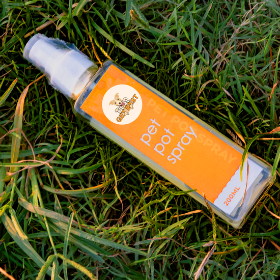 PetPot Spray - Potty Training Spray for Dogs – Pets Get Best